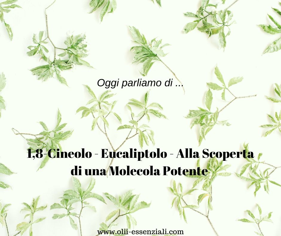 1,8-Cineolo, Eucaliptolo, Alla Scoperta Di Una Molecola Potente! » Oli ...